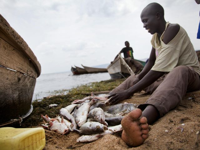 Lake Albert - Go Africa