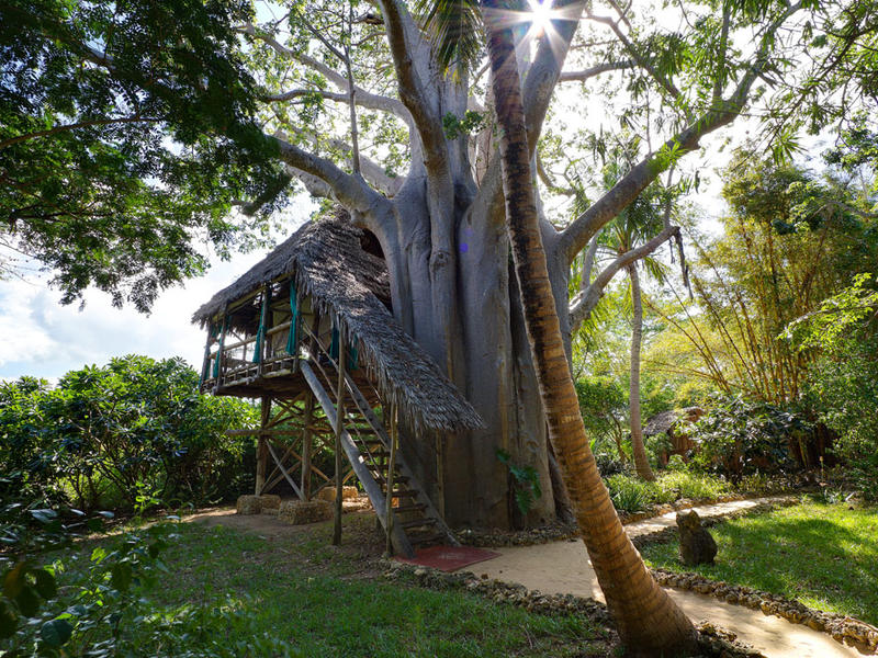 Chole Mjini Eco-Lodge - Go Africa