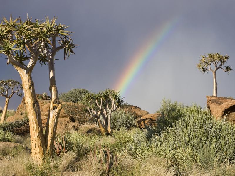 Green Kalahari - Go Africa
