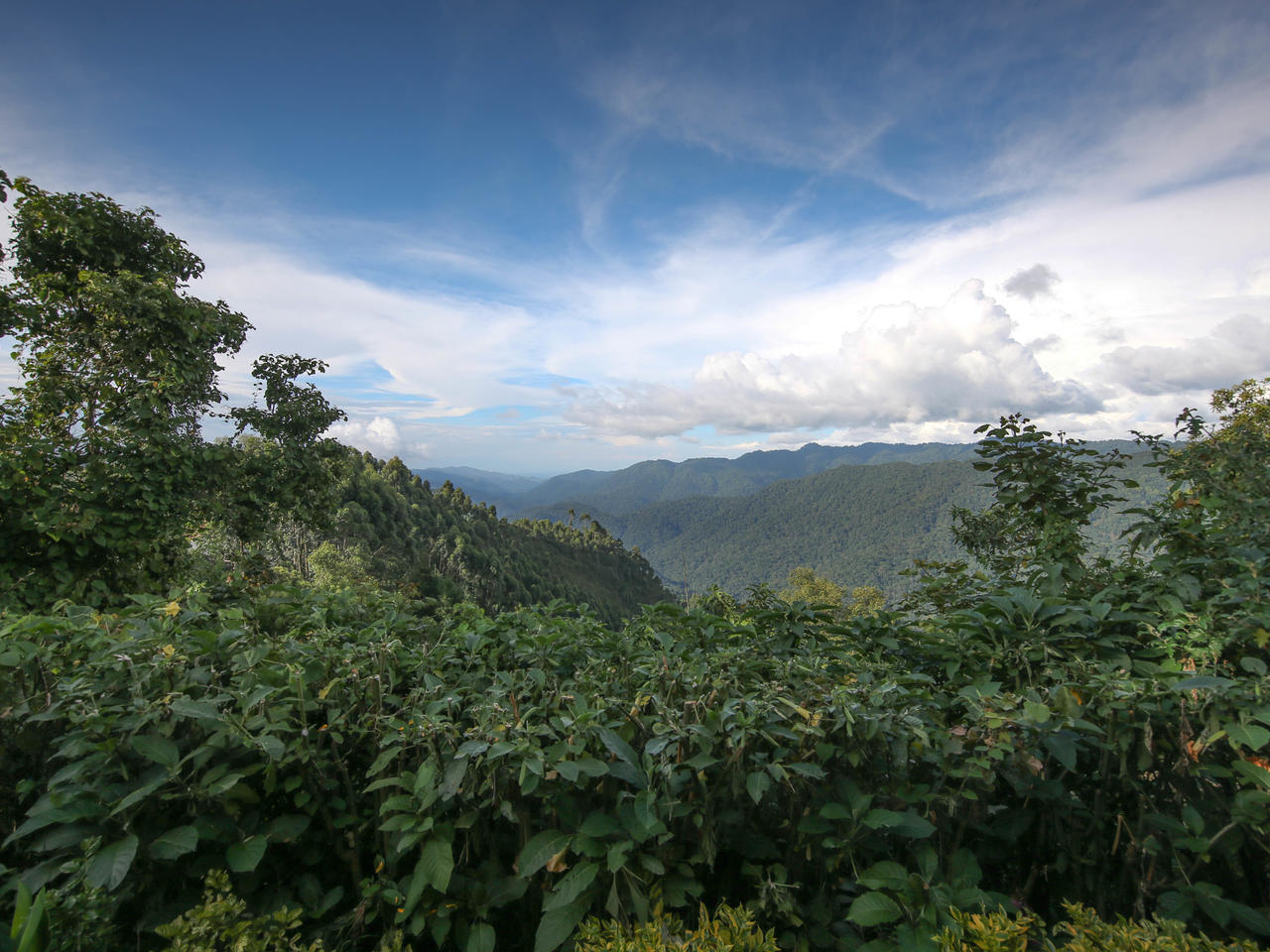 Nkuringo Bwindi Gorilla Lodge - Go Africa