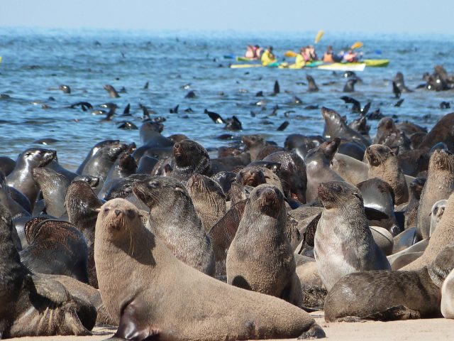 Walvis Bay - Go Africa