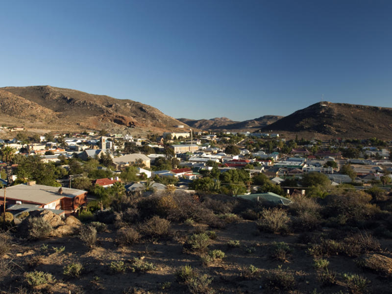 Springbok - Go Africa