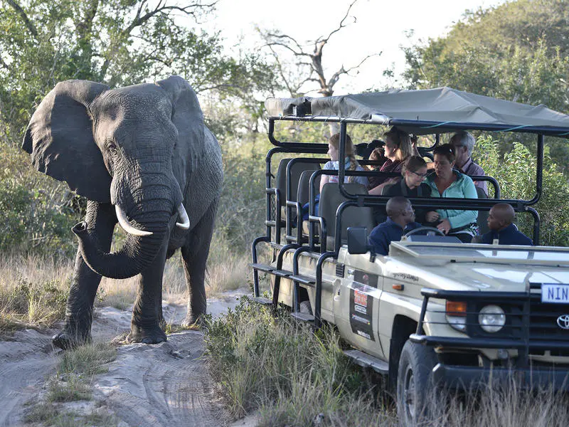 Tembe Elephant Park - Go Africa