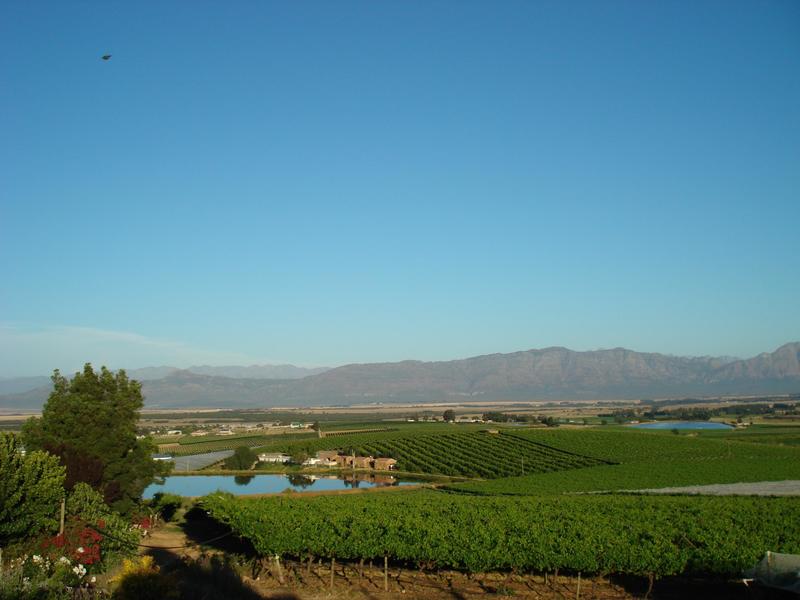 Swartland - Go Africa