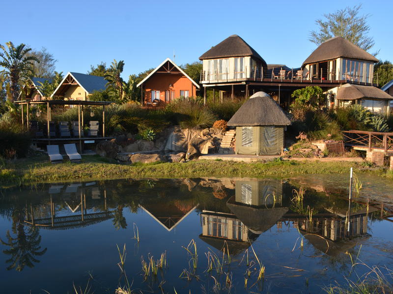 Addo Dung Beetle Guest Farm - Go Africa