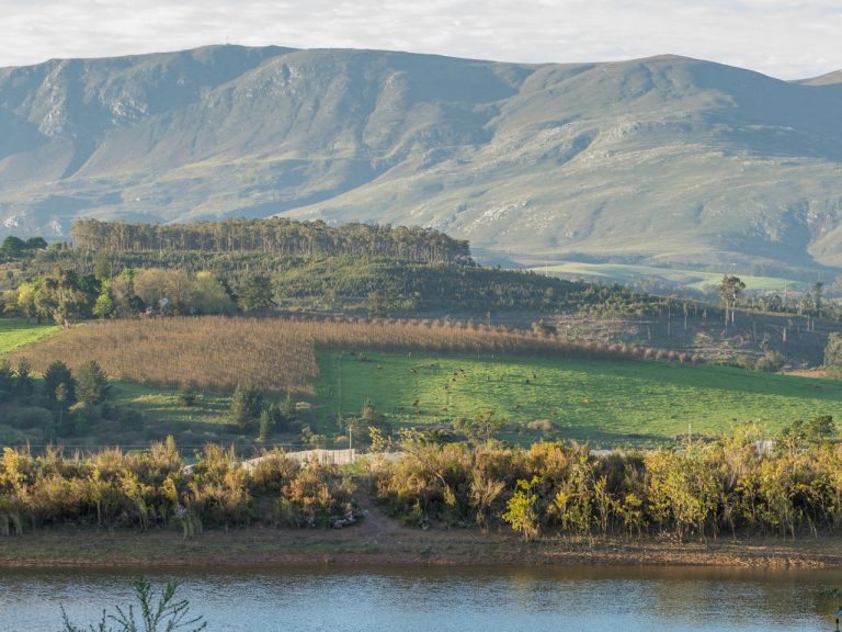 Elgin Valley - Go Africa