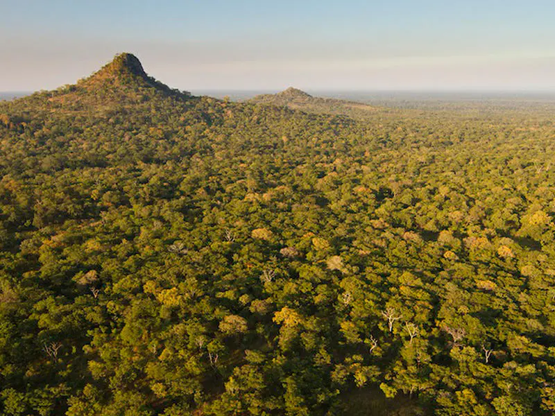 Gorongosa National Park - Go Africa