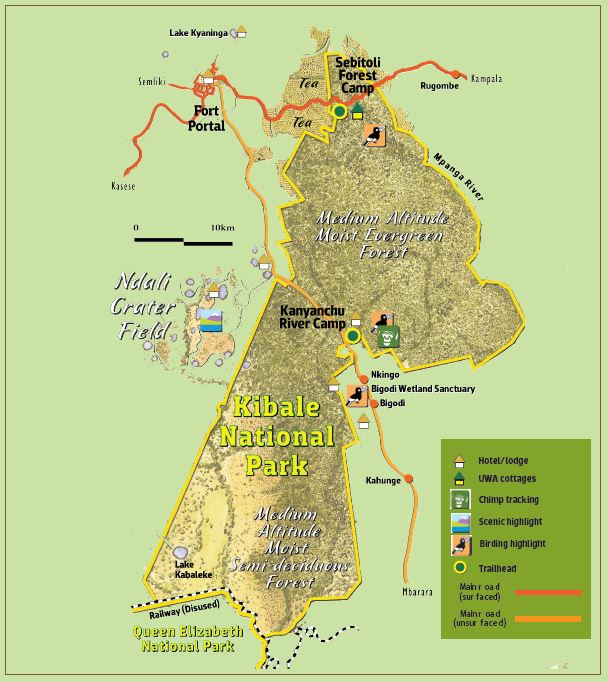 Kibale Forest National Park - Go Africa