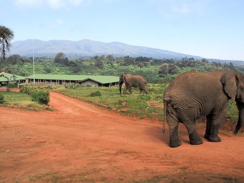 Ngorongoro Rhino Lodge - Go Africa